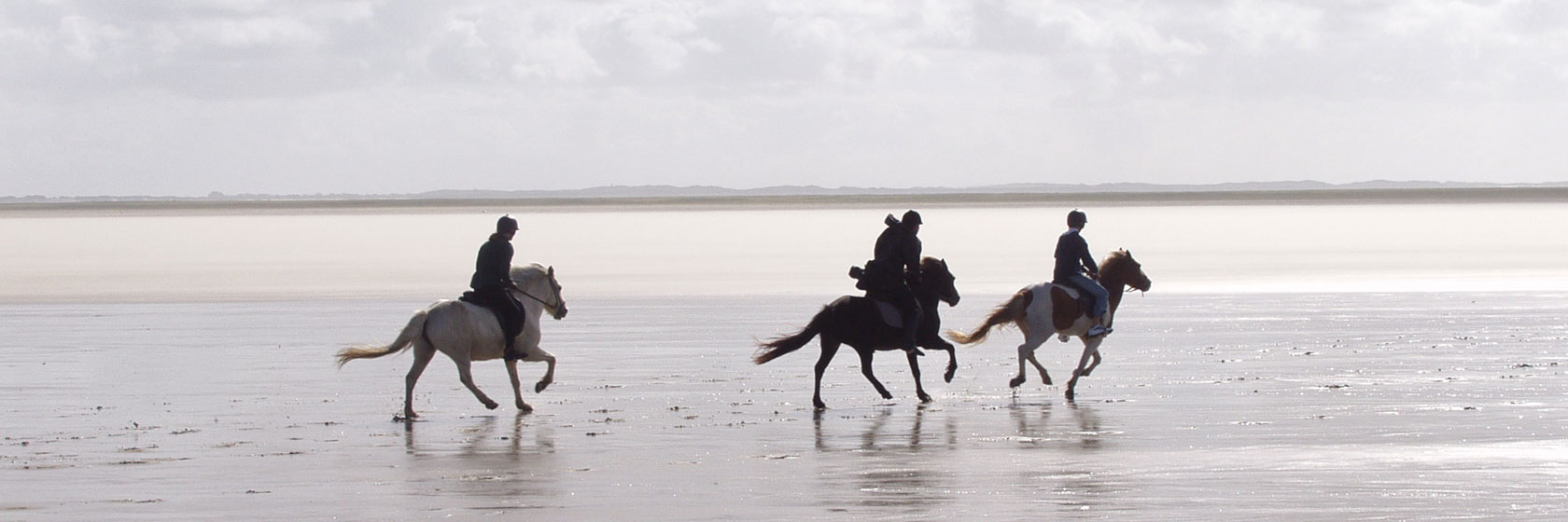 Denmark | Römö| Icelandic horse | riding holiday | HorseXplore