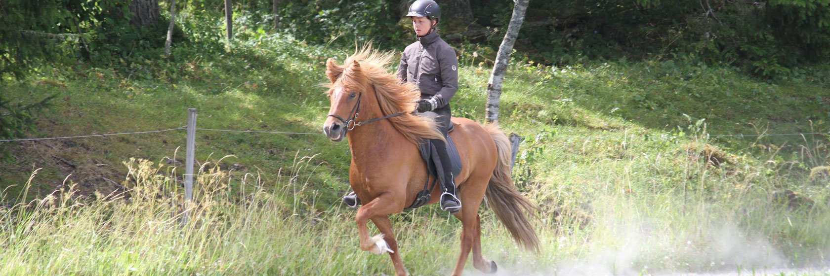 Sweden | Icelandic Horse | Horse Riding Holiday | HorseXplore