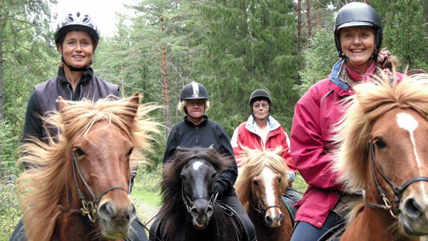 Sweden | Icelandic Horse | Horse Riding Holiday | HorseXplore