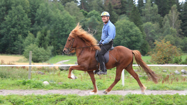 Sweden | Icelandic Horse | Horse Riding Holiday | HorseXplore