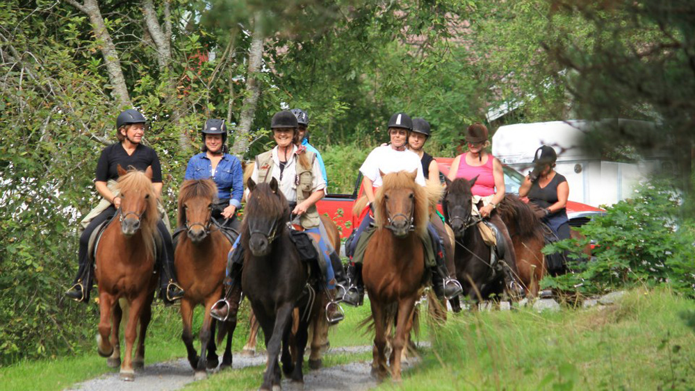 Sweden | Icelandic Horse | Horse Riding Holiday | HorseXplore